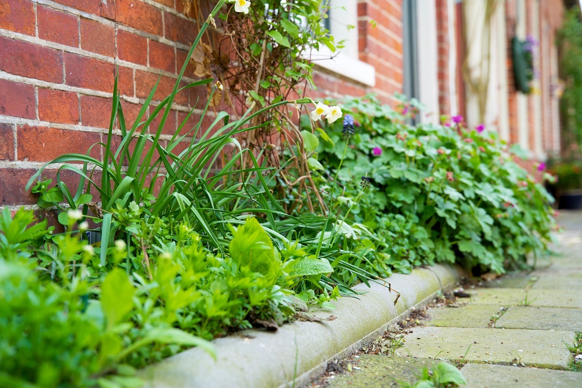 Geveltuin - Gemeente Kortemark